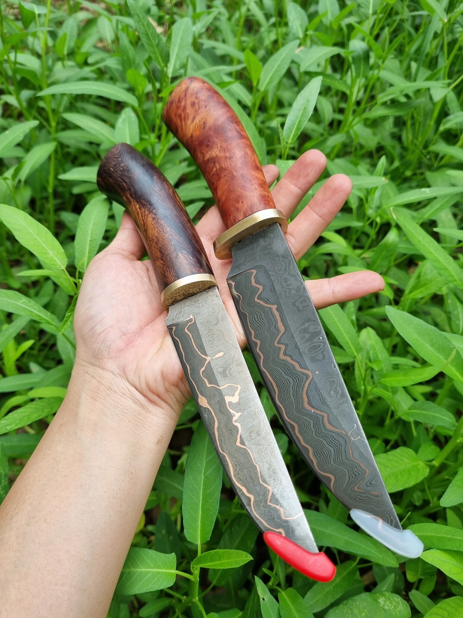 dao mèo - Dao Rèn Việt
